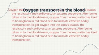 Histo sem 2 Youmna .pptx lungs and respiratory system | PPTX