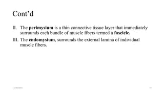histology of skeletal muscle by mankelklot kasahun | PDF