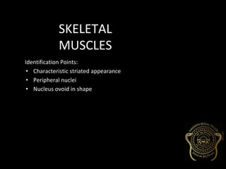 Histo Slides with identifecation points (1) (1).pdf