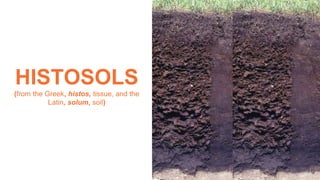 Histosol.pptx