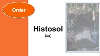 Histosol.pptx