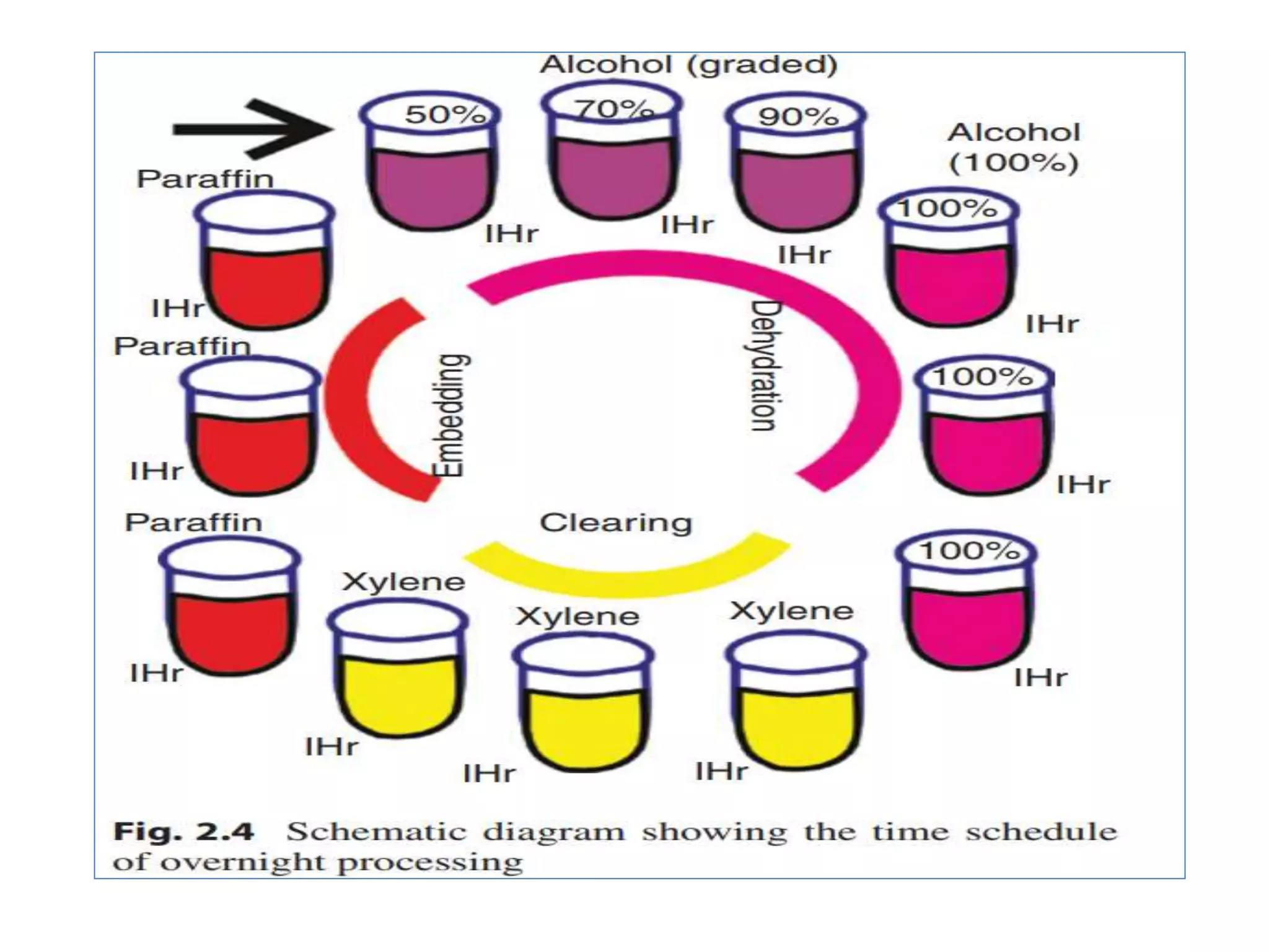 Histotechnique - processing, embedding.pptx