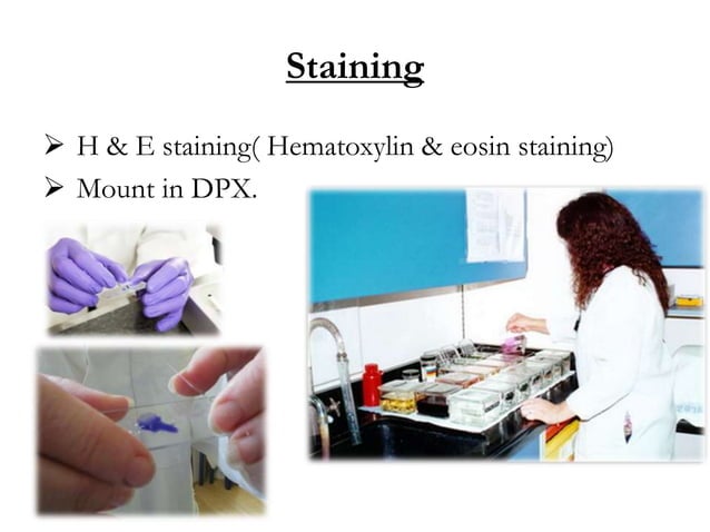 Histotechnique for practicals pathology | PPTX