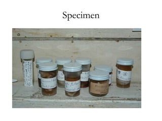 Histotechnique for practicals pathology | PPTX