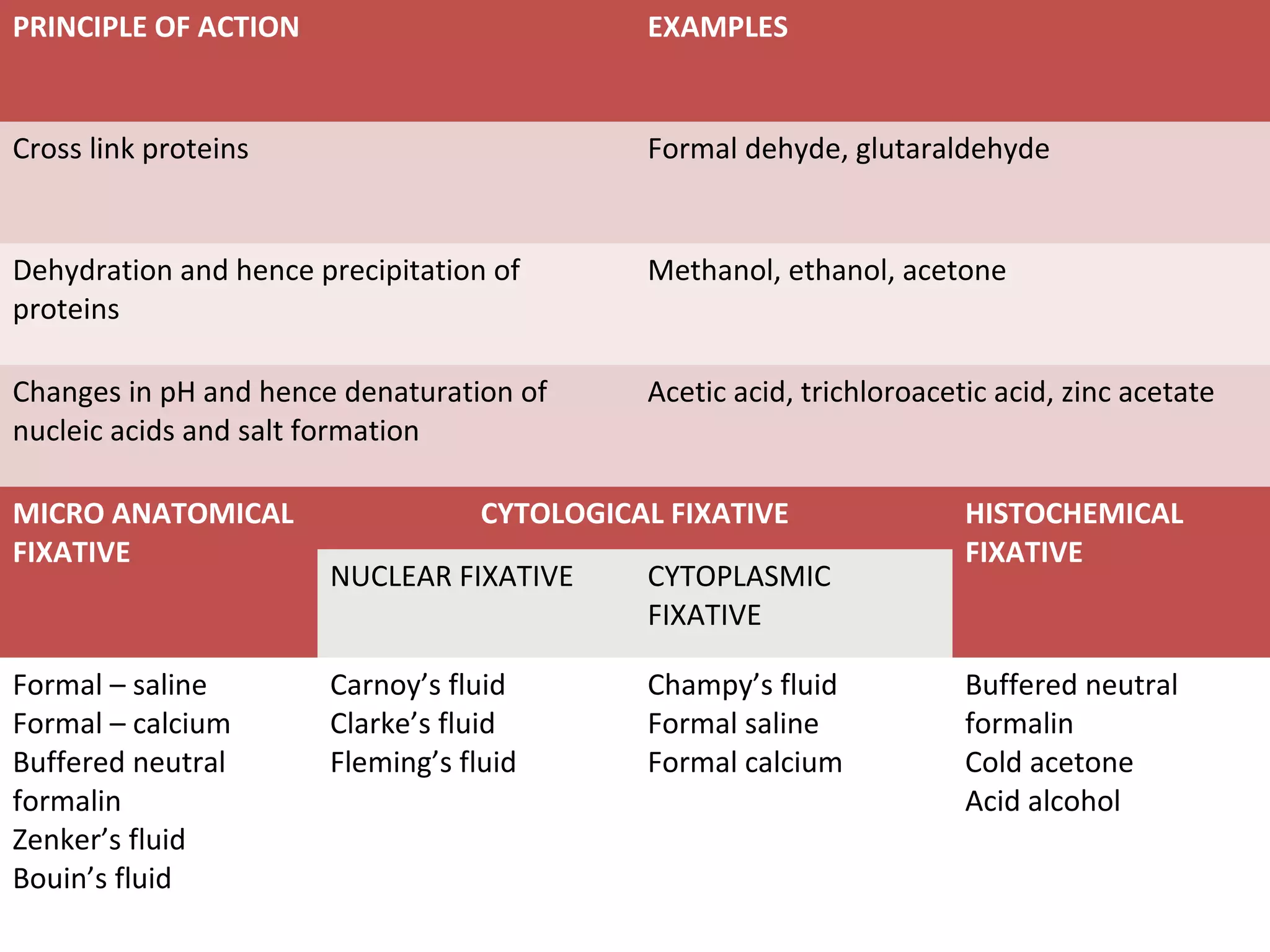 Histotechniques | PPT