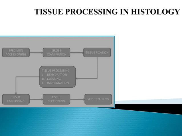 Histotechnology- Receiving and Fixation.pptx