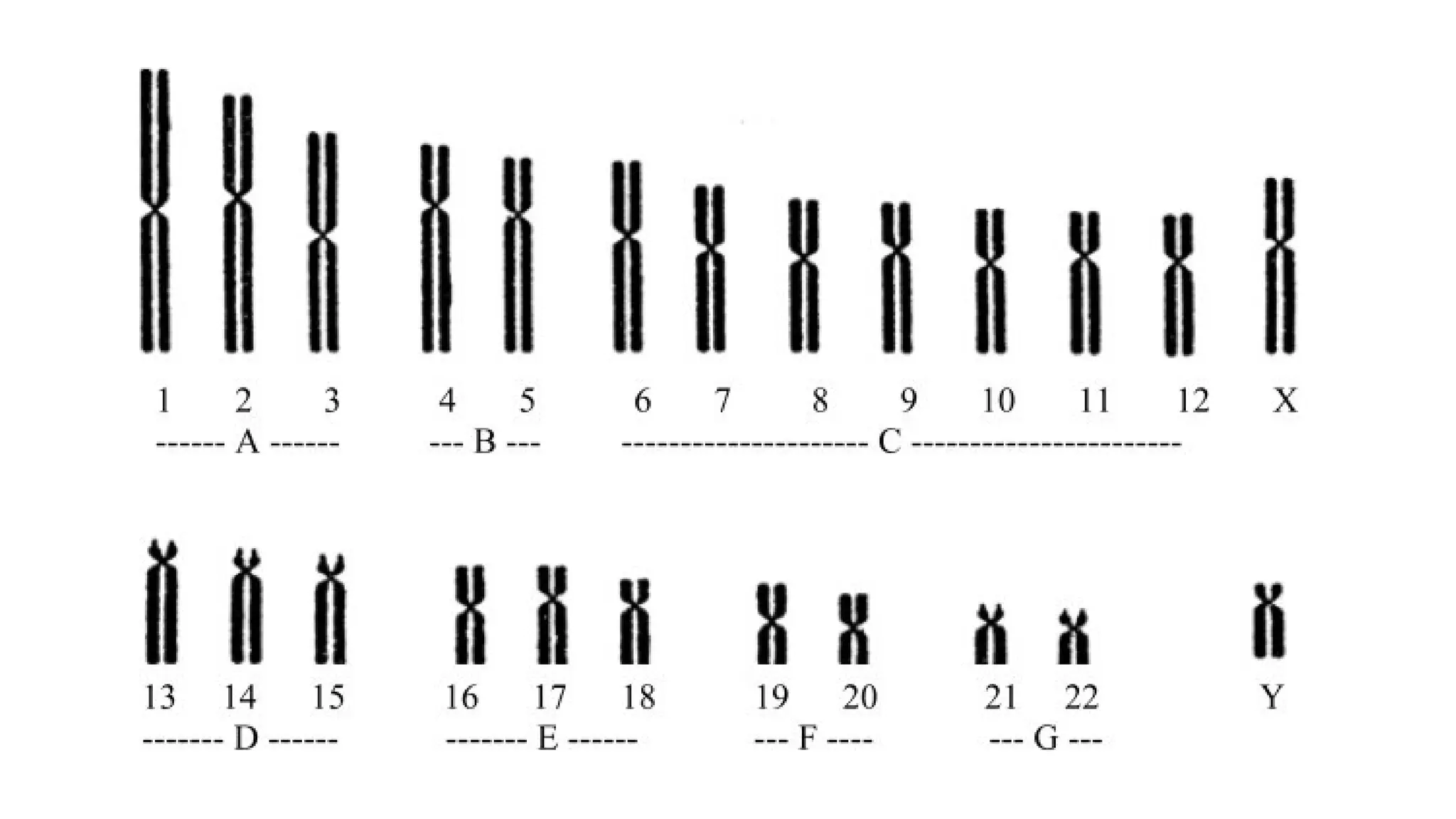 histroy of classification, nomenclature and characterstics of A to G ...