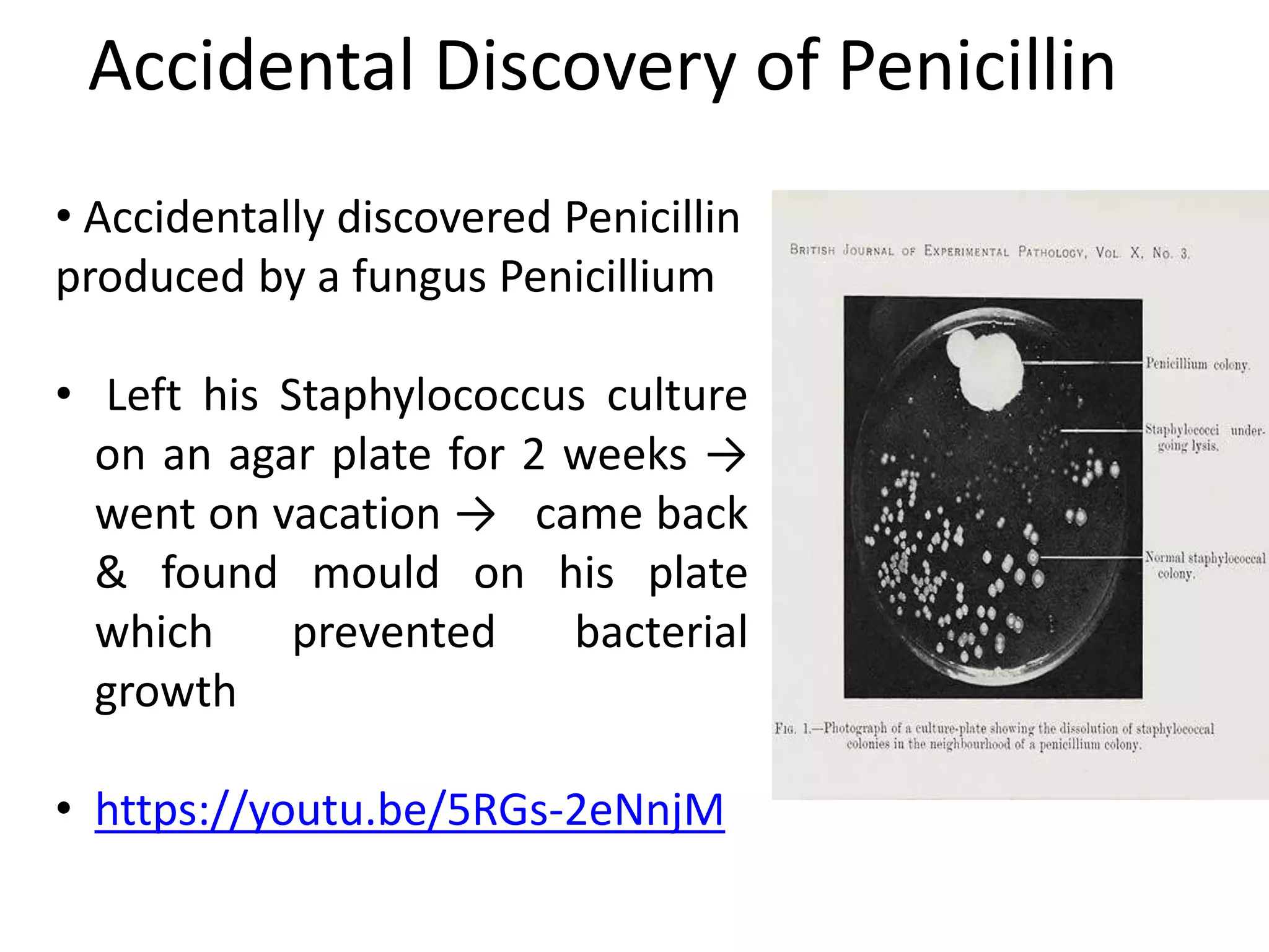 History of Microbiology | PPTX