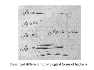 History of Microbiology | PPTX
