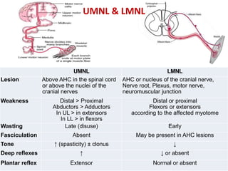 Neurological History Taking | PPTX