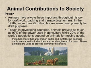 Histry of animal industry | PPT