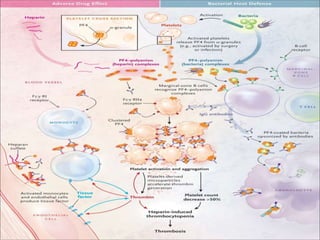 Heparin induced thrombocytopenia hit | PPTX