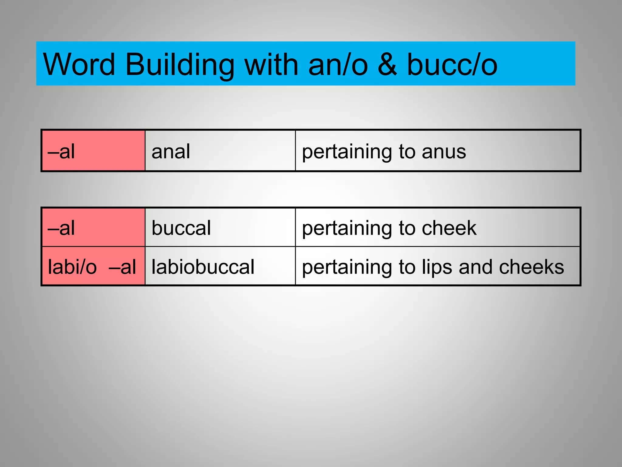 Digestive System medical Terminology | PPTX