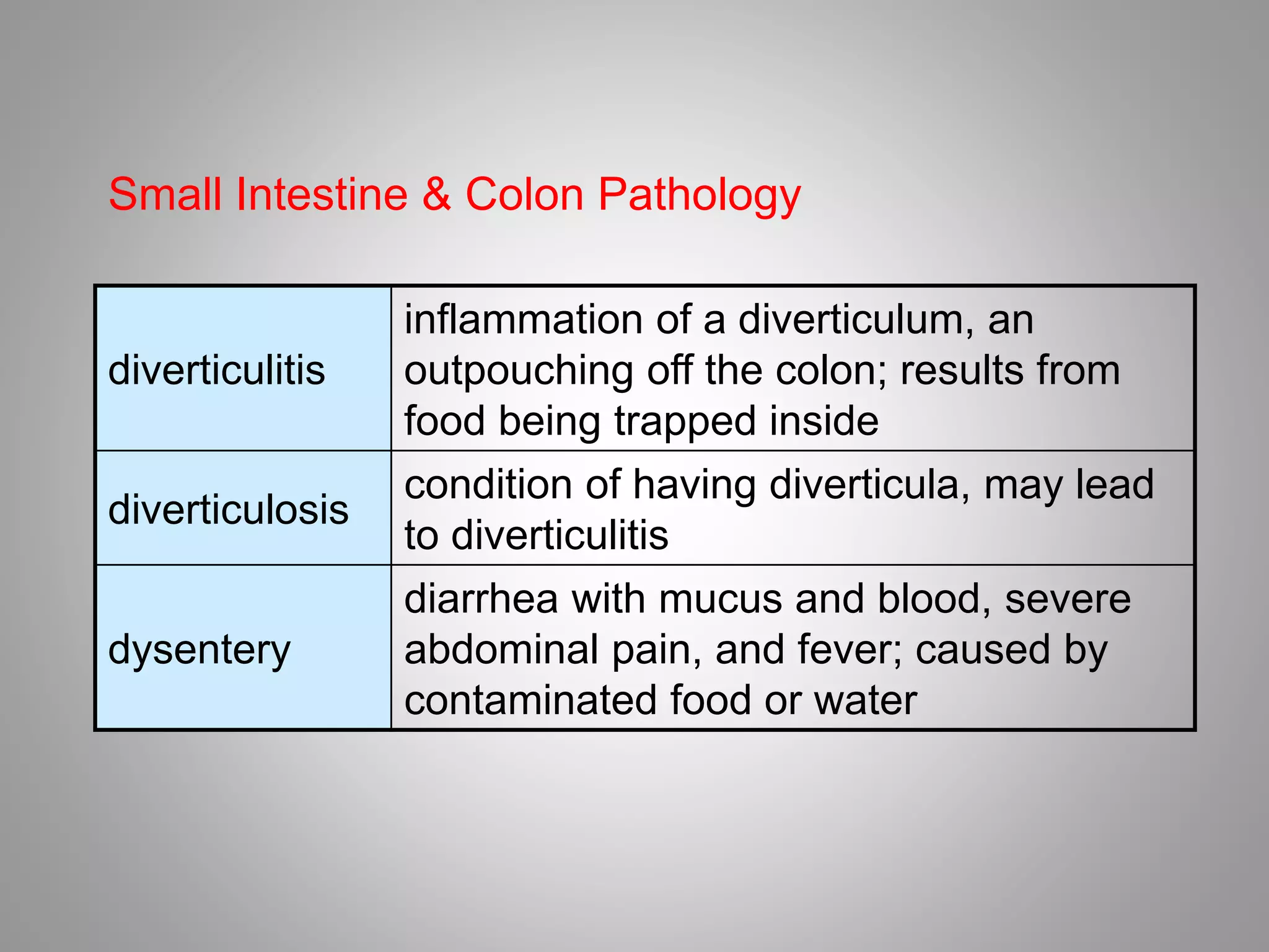 Digestive System medical Terminology | PPTX | Digestive Disorders ...