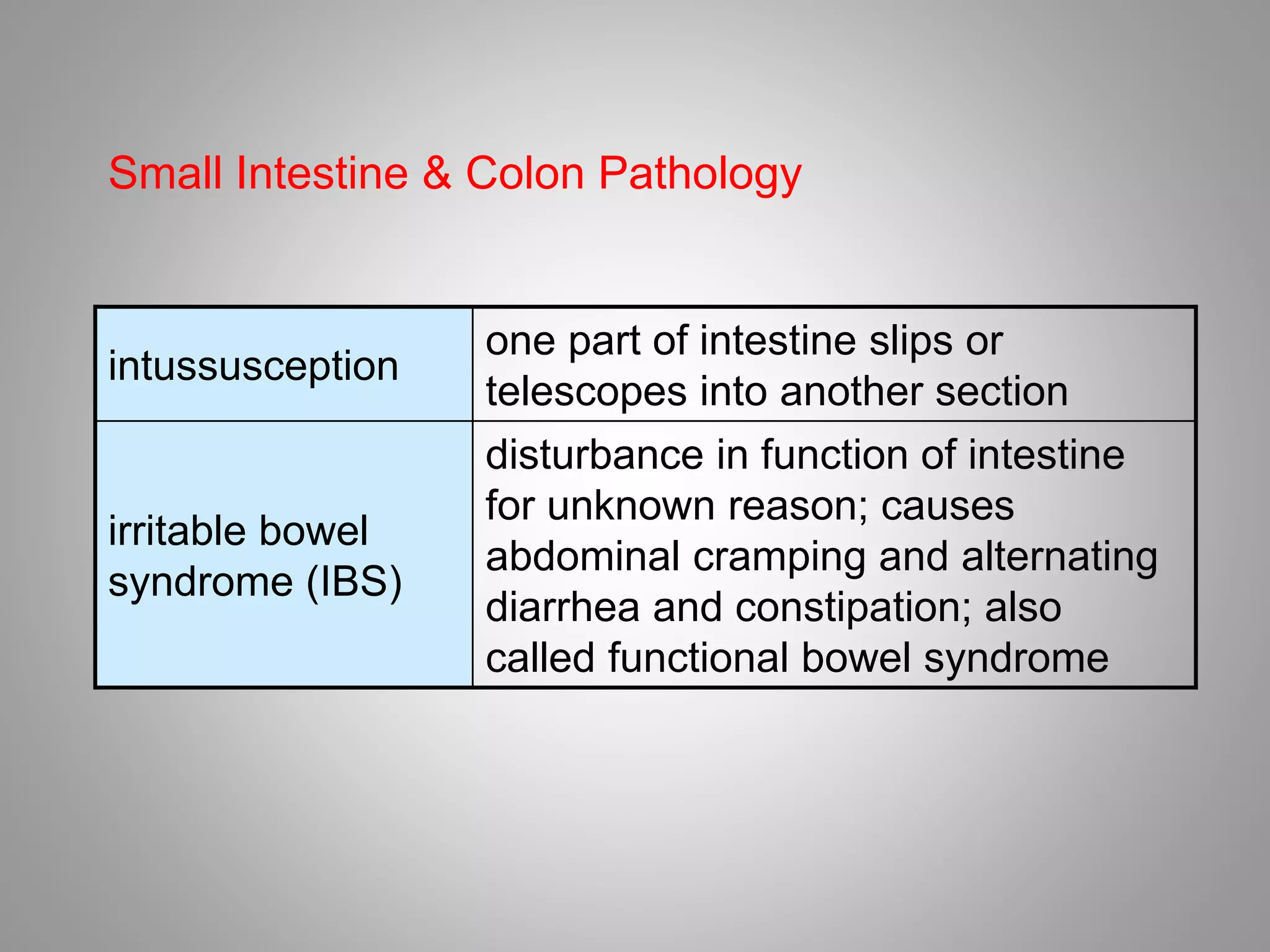 Digestive System medical Terminology | PPTX