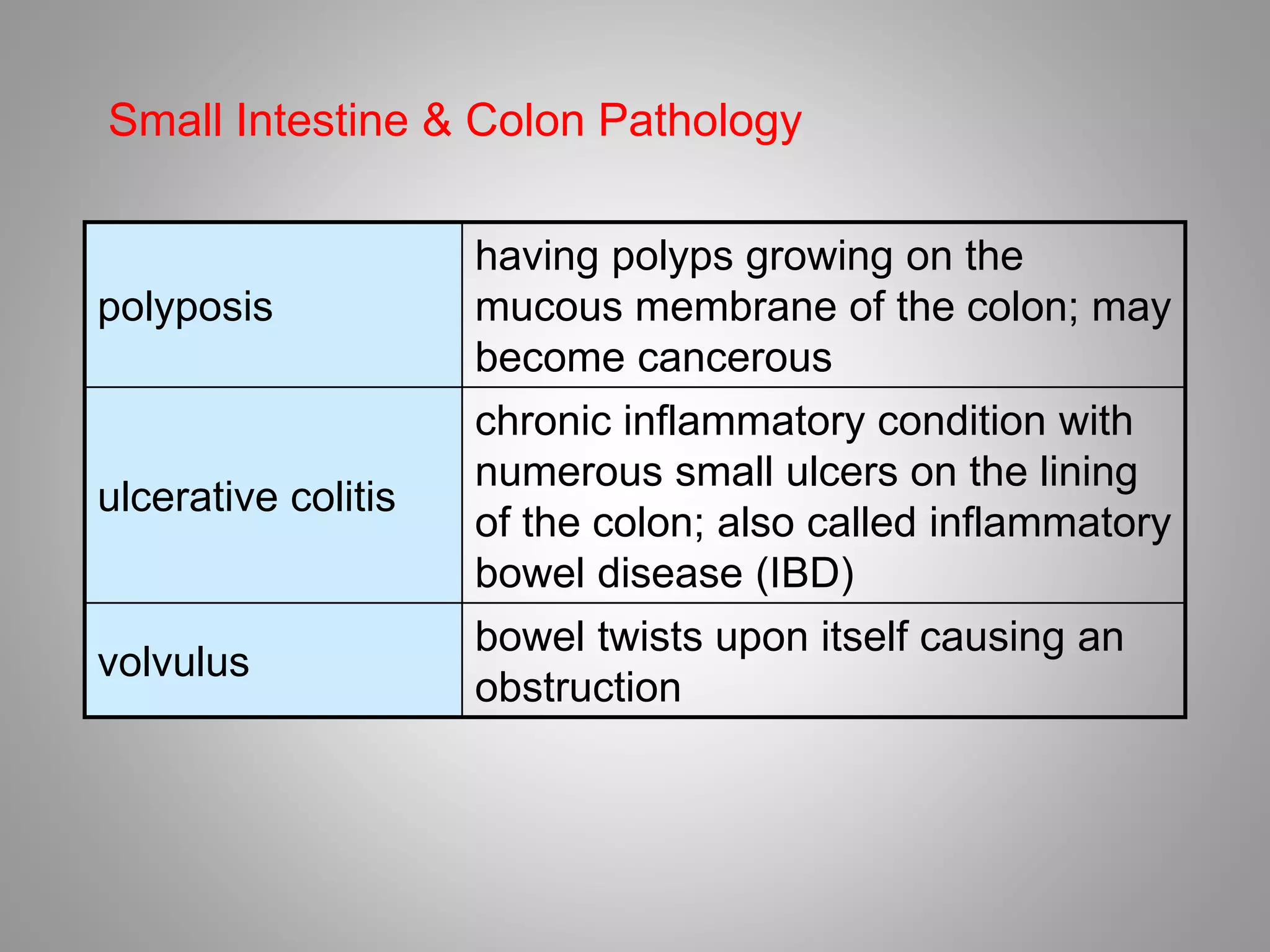 Digestive System medical Terminology | PPTX