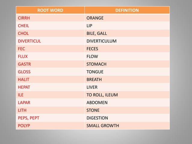 Digestive System medical Terminology | PPTX | Digestive Disorders ...