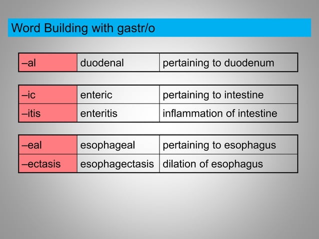 Digestive System medical Terminology | PPTX | Digestive Disorders ...
