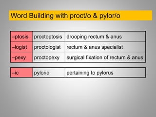 Digestive System medical Terminology | PPTX