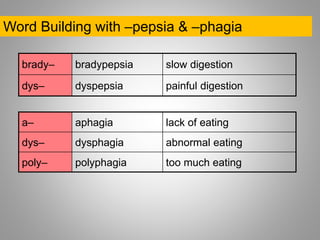 Digestive System medical Terminology | PPTX