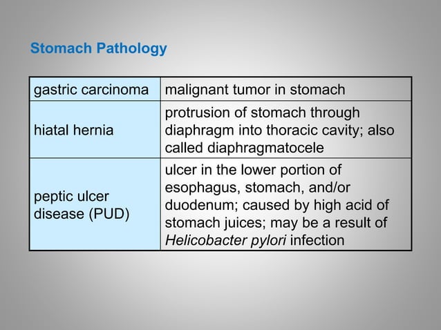 Digestive System medical Terminology | PPTX | Digestive Disorders ...