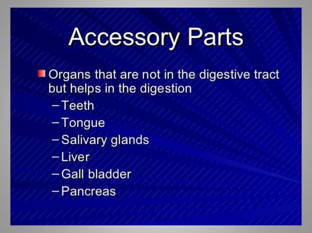 Digestive System medical Terminology | PPTX | Digestive Disorders ...