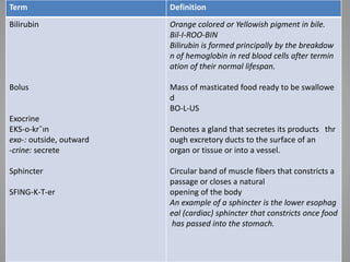 Digestive System medical Terminology | PPTX