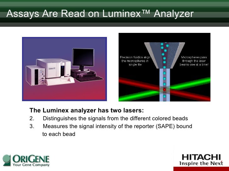 Multiplex Assays for Studying Gene Regulation and Cell Function