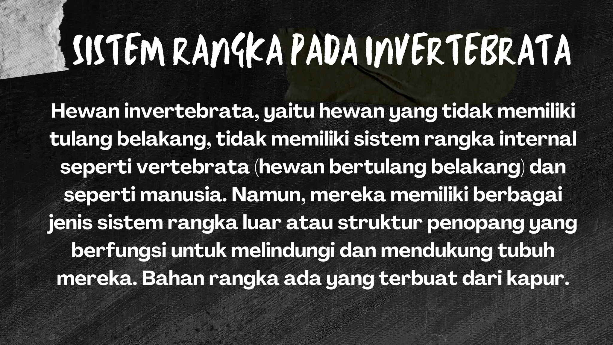 Sistem Rangka Pada Hewan Invertebrata dan Vertebrata.pdf