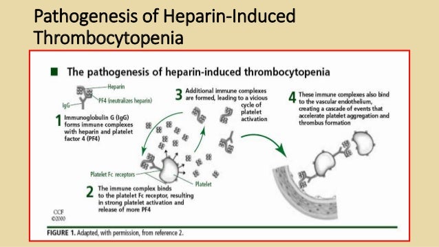Heparin Induced Thrombocytopeia (HIT)