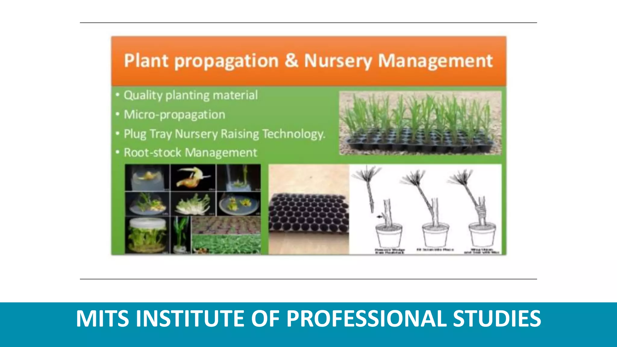 Hitech horticulture | PPTX