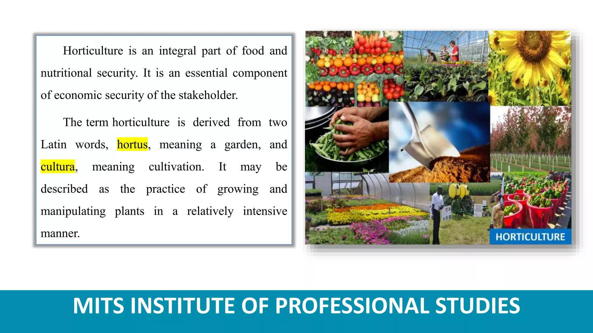 Hitech horticulture | PPTX