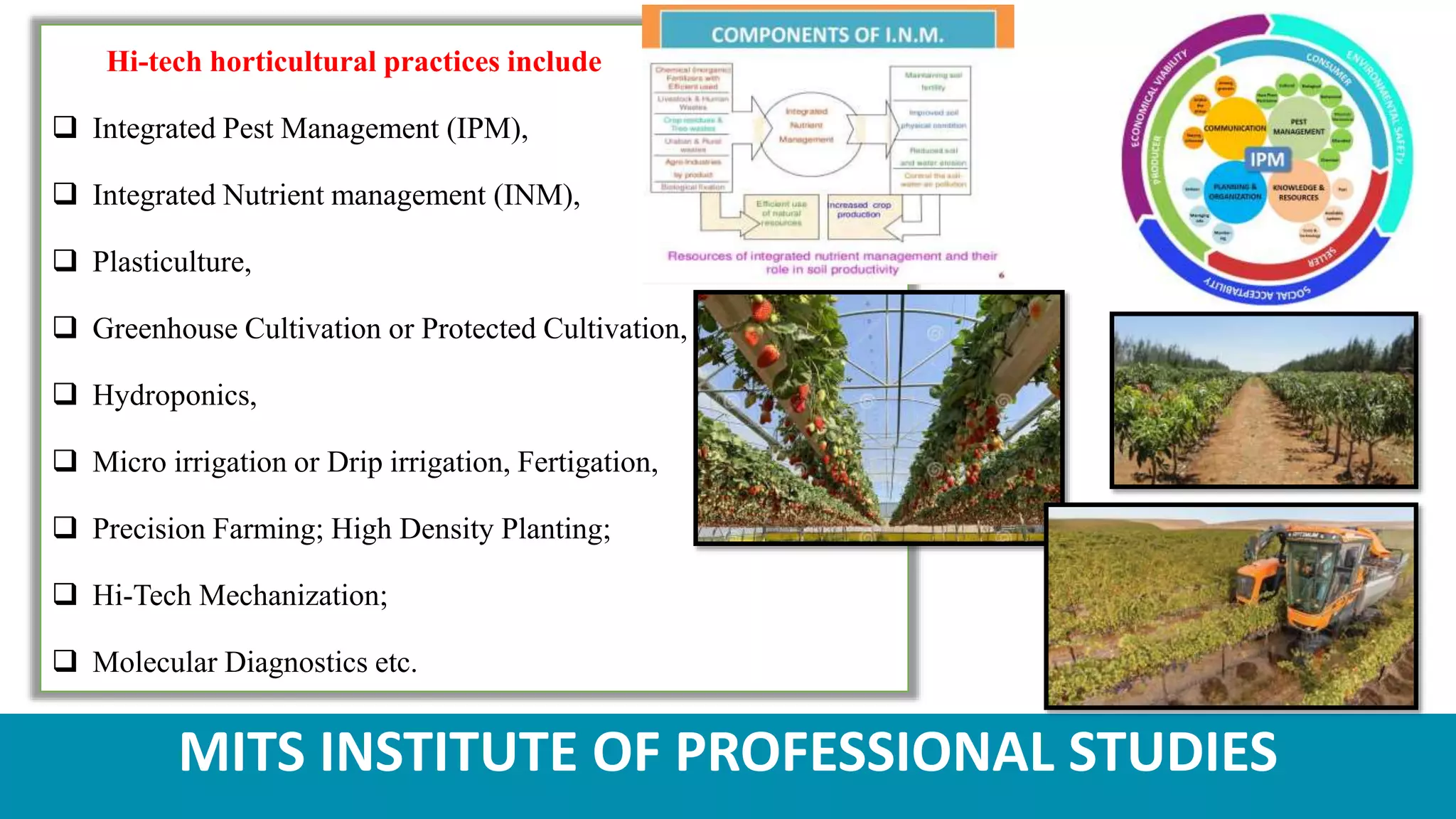 Hitech horticulture | PPTX