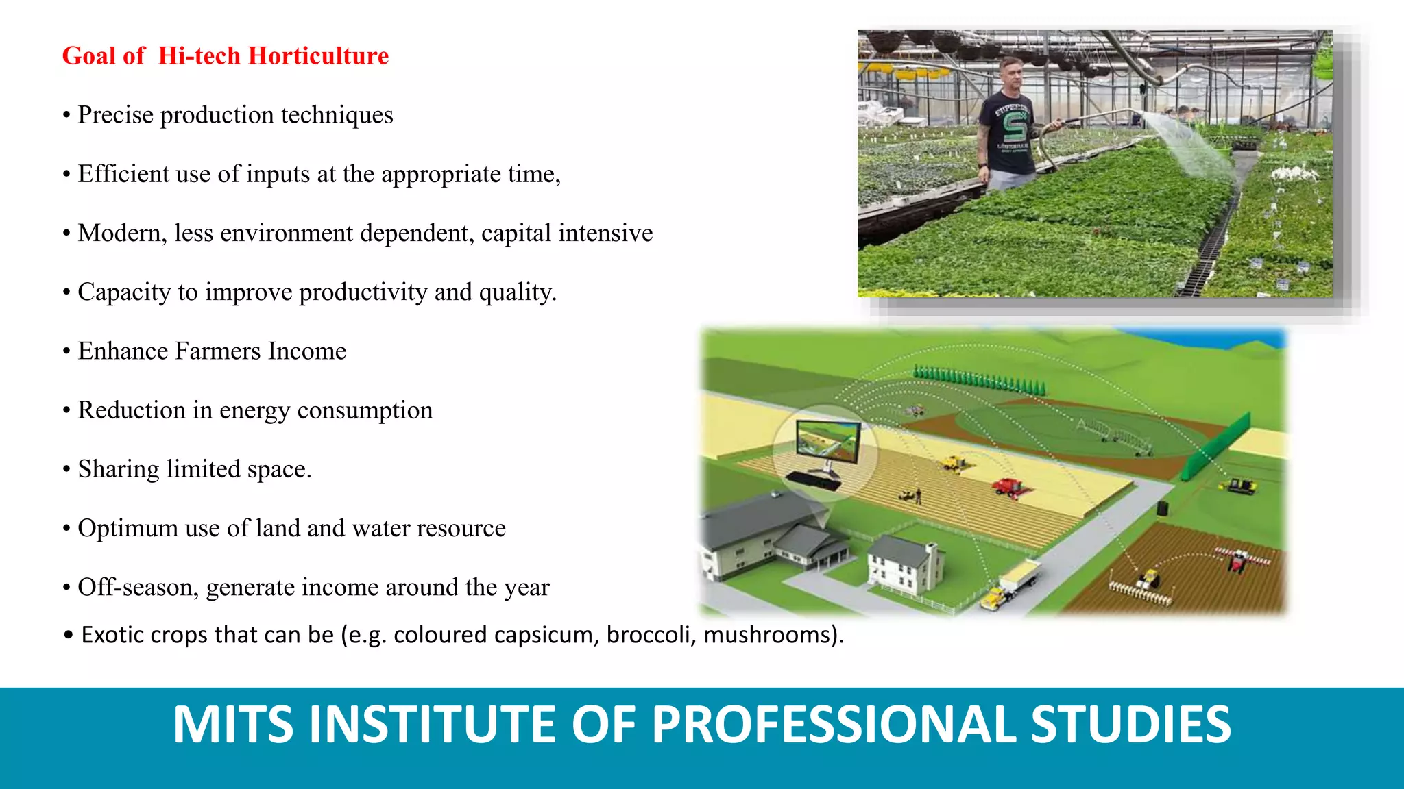 Hitech horticulture | PPTX