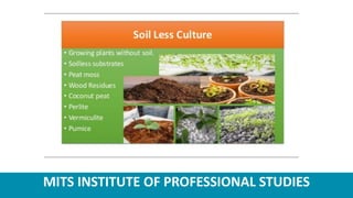 Hitech horticulture | PPTX