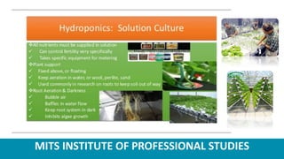 Hitech horticulture | PPTX