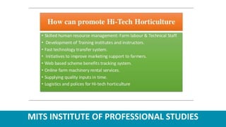 Hitech horticulture | PPTX