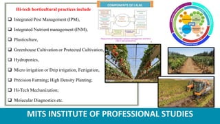 Hitech horticulture | PPTX
