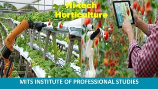 Hitech horticulture | PPTX