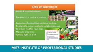 Hitech horticulture | PPTX