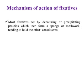 fixatives used in histopathology | PPTX