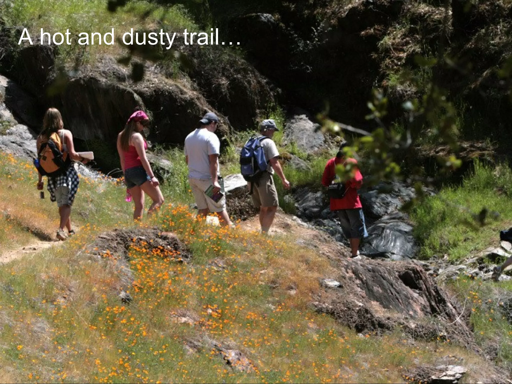 Wildflower Class - April, 2008 | PPT