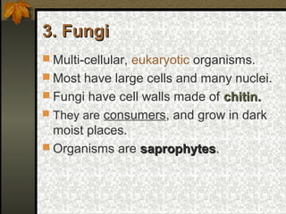 DIVERSITY IN LIVING ORGANISMS | PPT