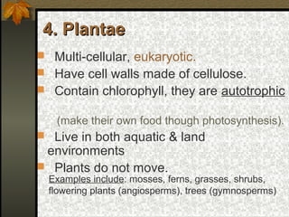 DIVERSITY IN LIVING ORGANISMS | PPT