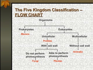 Five Kingdom Classification Flow Chart