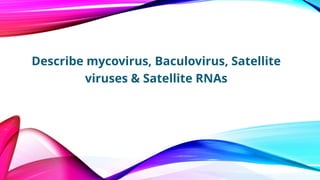 Describe mycovirus, Baculovirus, Satellite viruses & Satellite RNAs ...