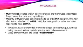 Describe mycovirus, Baculovirus, Satellite viruses & Satellite RNAs ...