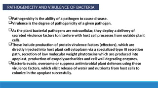 HITESH Pathogenicity and Virulence Factors of Phytobacteria.pptx