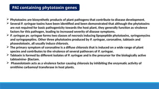 HITESH Pathogenicity and Virulence Factors of Phytobacteria.pptx