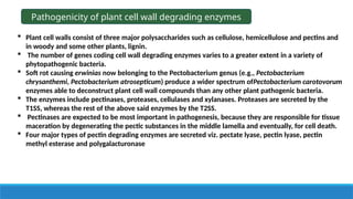 HITESH Pathogenicity and Virulence Factors of Phytobacteria.pptx
